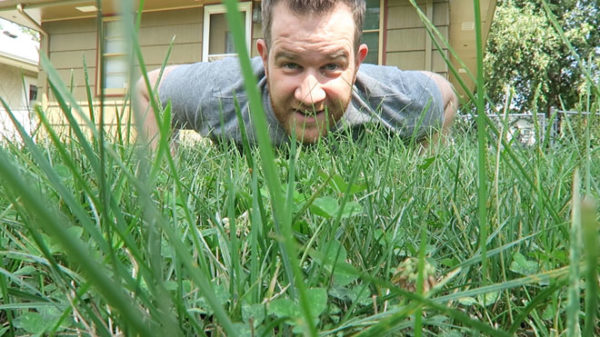 What I Learned from Making a Daily Video for 30 Days - Break the Twitch